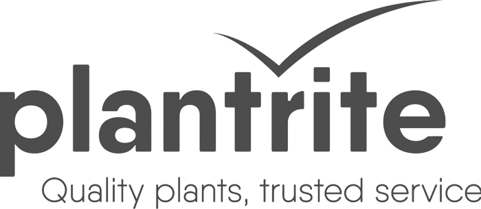 Plantrite - Bunnings Australia
