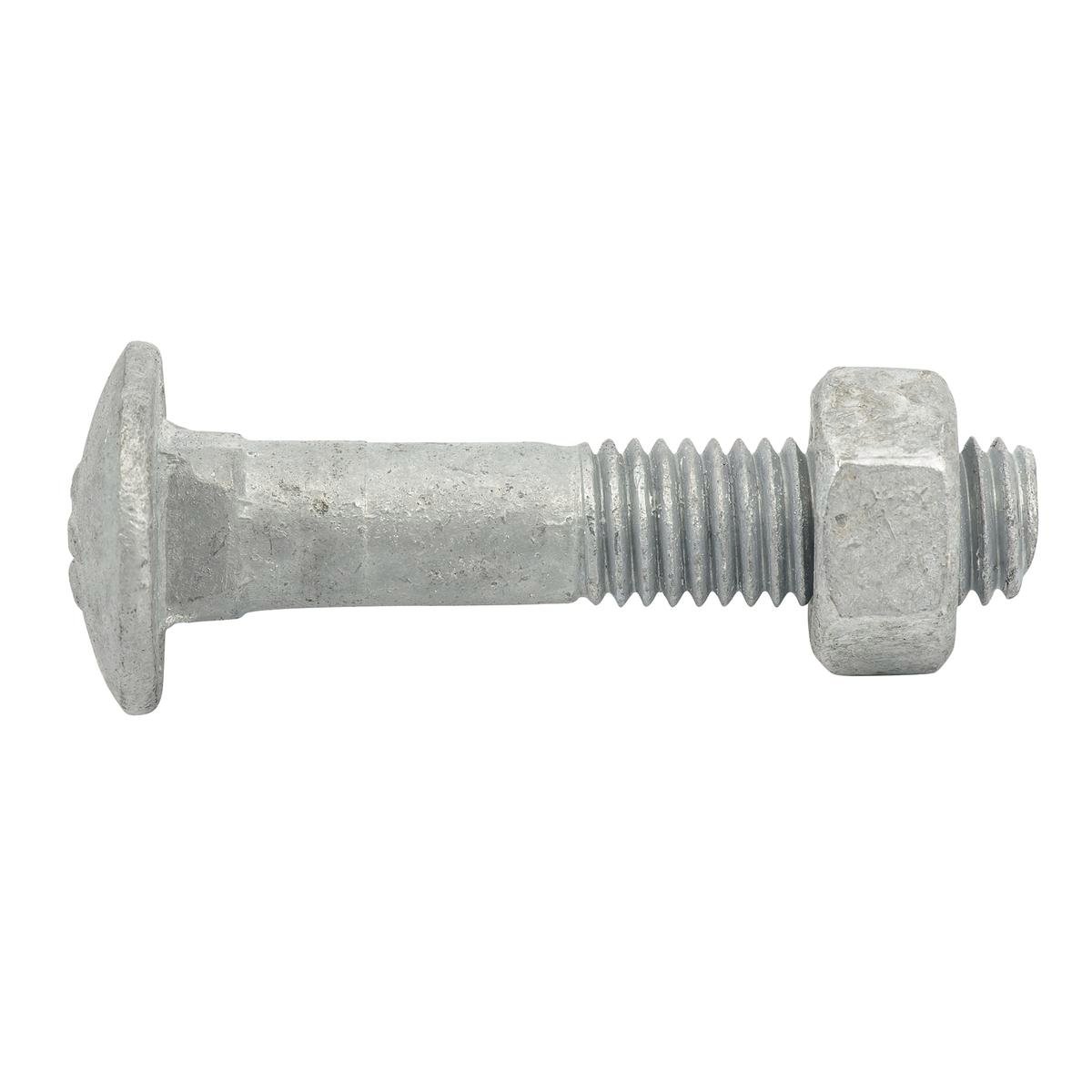 Zenith M10 x 50mm Hot Dipped Galvanised Cup Head Bolt And Nut - Each ...