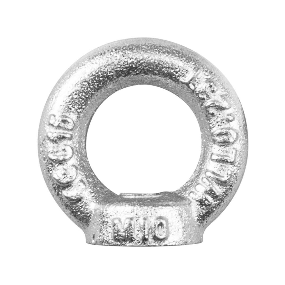 Pinnacle 43 x 49 x 14mm M10 Zinc Plated Eye Nut - Bunnings Australia
