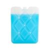 Esky Small Slim Ice Brick - Bunnings Australia