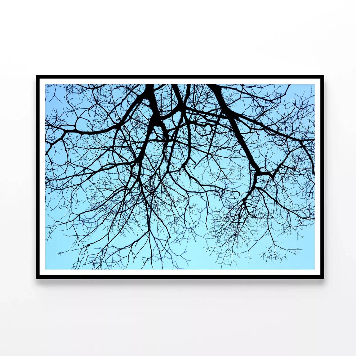 Branches of a Tree, Sky Print 100% Australian Made 120x90cm (Poster ...