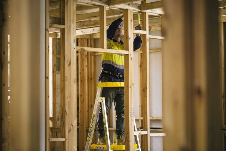 Bailey Ladders - Bunnings Australia