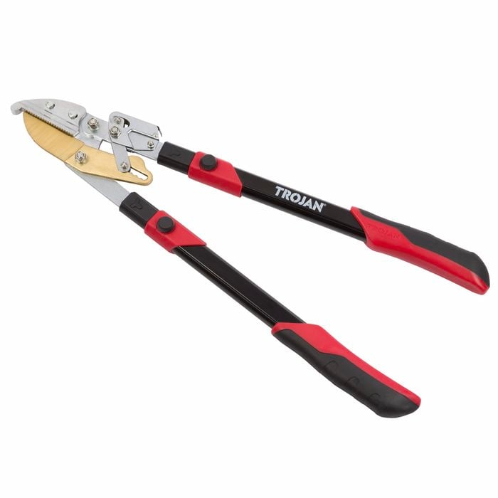Long handled loppers bunnings store