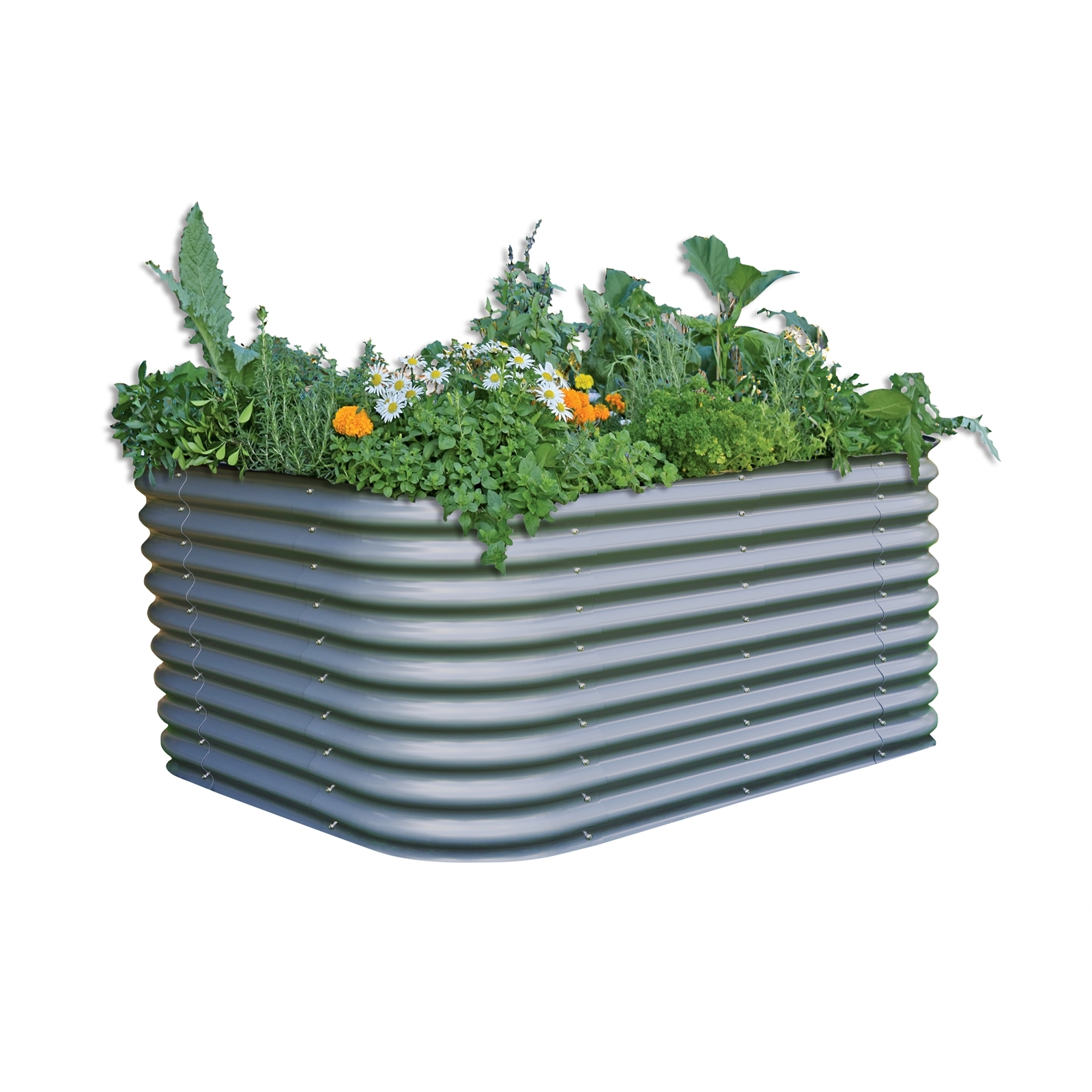 Raised Garden Beds Planter Boxes Bunnings Australia