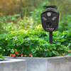 Sureguard Scarecrow Motion Activated Ultrasonic Animal Repellent ...