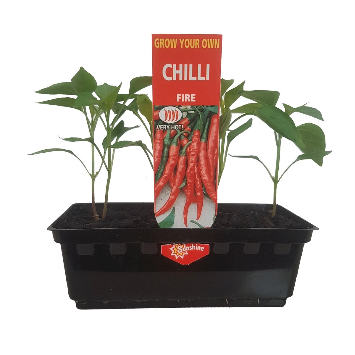 Punnet Chilli Fire - Grow Your Own Range - Bunnings Australia