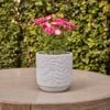 Northcote Pottery 17cm White Ava Fleur Egg Pot - Bunnings Australia