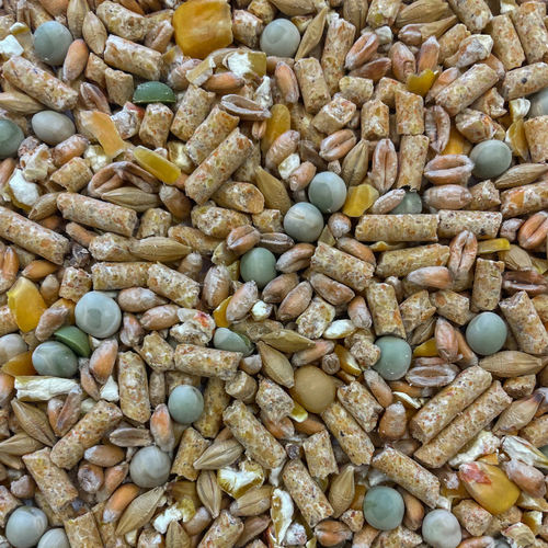 Scotts 10kg Chicken Layer Mix - Bunnings New Zealand