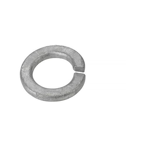 Hobson M12 Galvanised Spring Washer - 200 Carton - Bunnings Australia