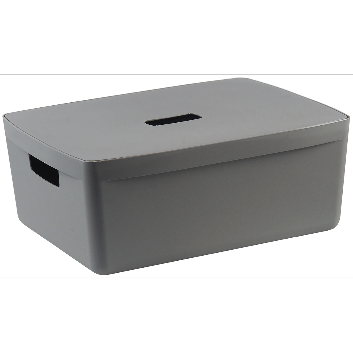 Inabox 19L Grey Home Storage Tub With Lid - Grey 19L - Bunnings New Zealand