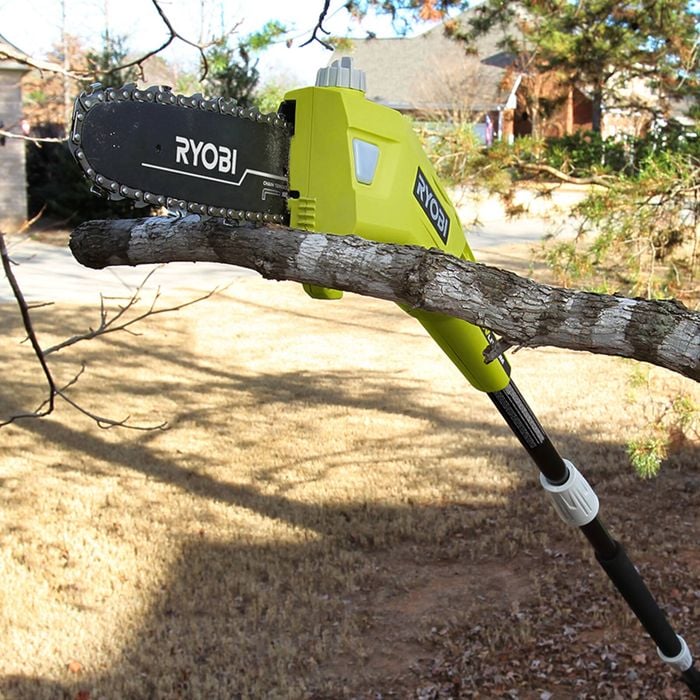 Ryobi 36V 8" 20cm Cordless Pole Pruner RPP3600 - Tool Only - Bunnings ...
