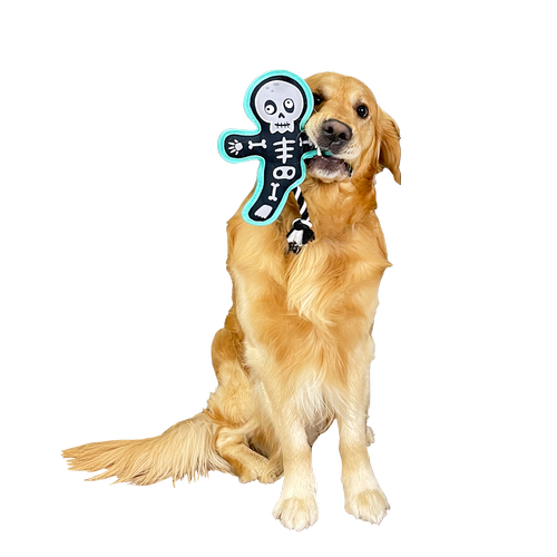 Baxter Bone Skeleton with Rope Halloween Pet Toy - Bunnings Australia