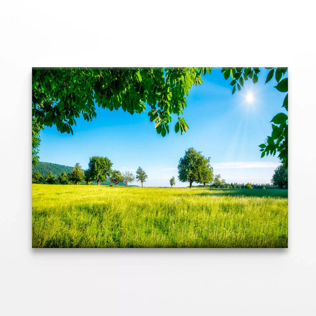 Meadow with Trees in the Sunshine Print 100% Australian Made 120 x 90cm ...
