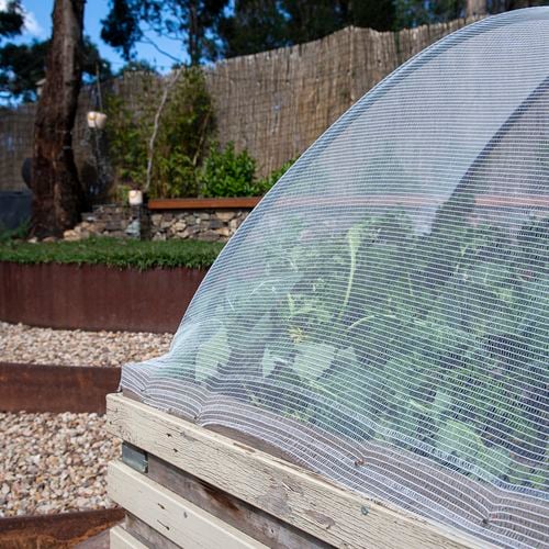 Backyard Farmer 4 x 4m x 5mm Anti Bird Net - Bunnings Australia