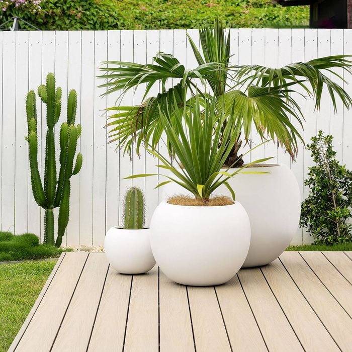 Ekodeck 137 x 23mm 5.4m Backbeach Designer Edge Board Composite Decking ...