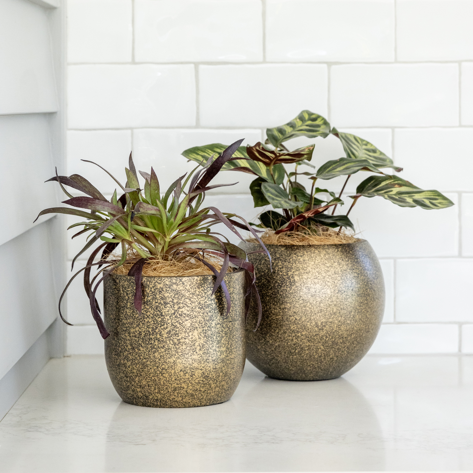 Bunnings indoor pots store