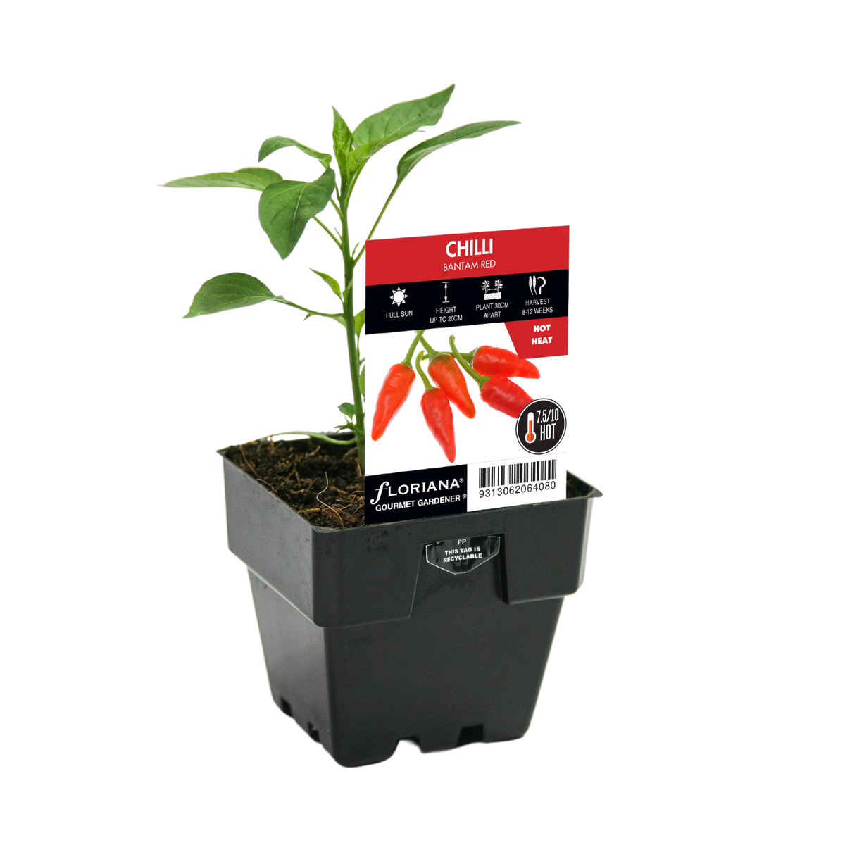 100mm Chilli Bantam Red - Capsicum annuum - Bunnings Australia