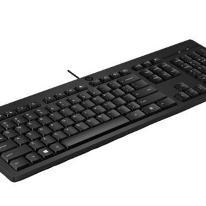HP 125 Wired Keyboard - Plug and Play Connectivity - Wired Keyboard ...