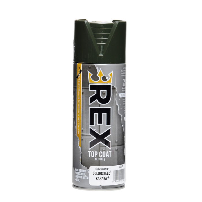 Rex 300g CS Karaka Metal Spray Paint - Bunnings New Zealand