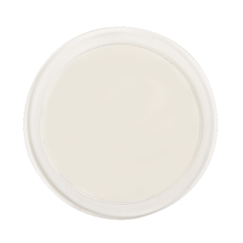 Naleon Ultimate Mounting Disc - Bunnings Australia