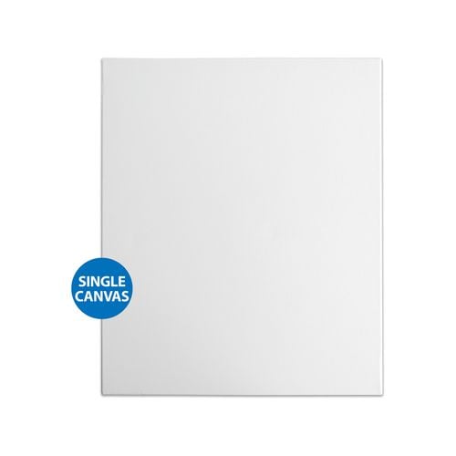 Boyle 40 x 50cm Thin Edge Stretched Canvas - Bunnings Australia