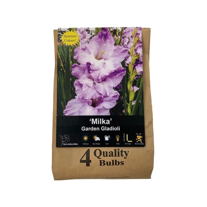 Yarra Valley Bulbs Gladioli Milka 5 Pack - Bunnings Australia