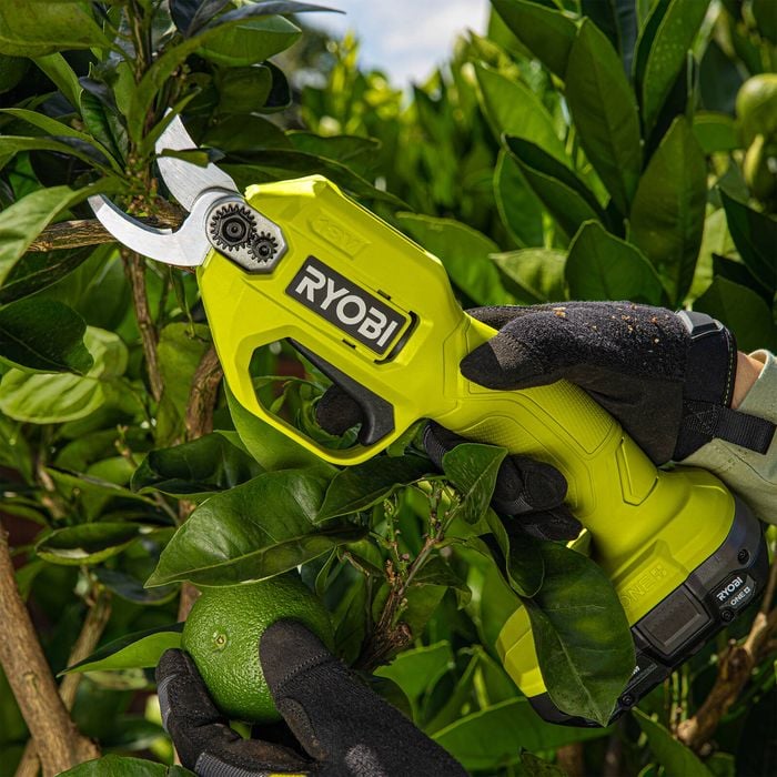 Ryobi 18V ONE+ Cordless Bypass Pruning Secateurs - Tool Only - Bunnings ...