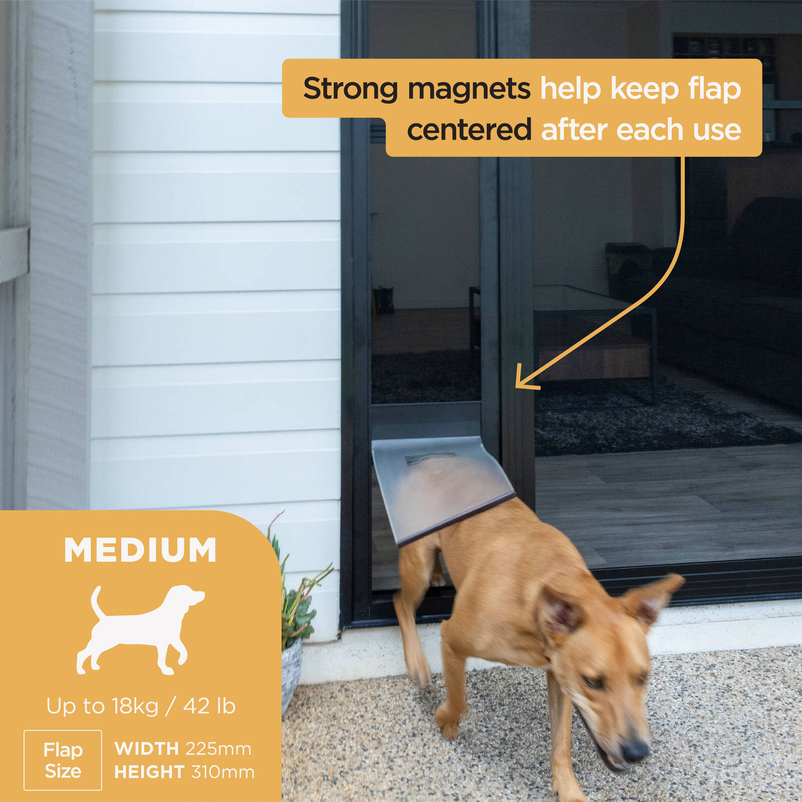 Bunnings dog door store