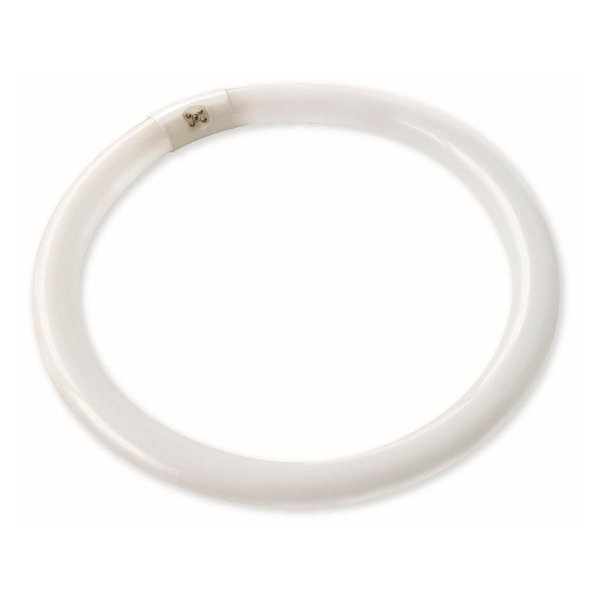 Nelson T9 Fluorescent 40W Natural White Tri-Phosphor Circular Tube ...