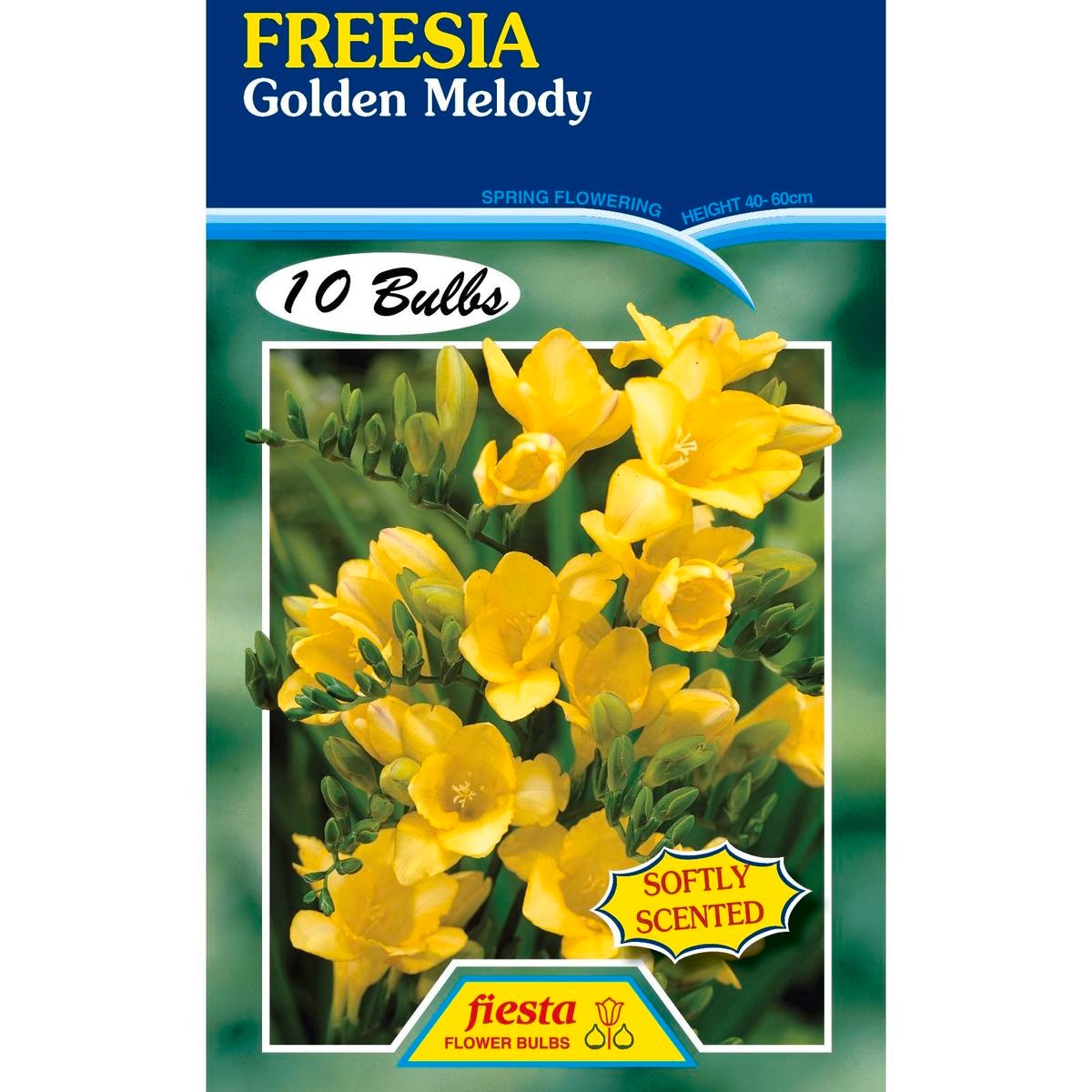 Freesia Golden Melody - 10 Bulbs - Bunnings New Zealand