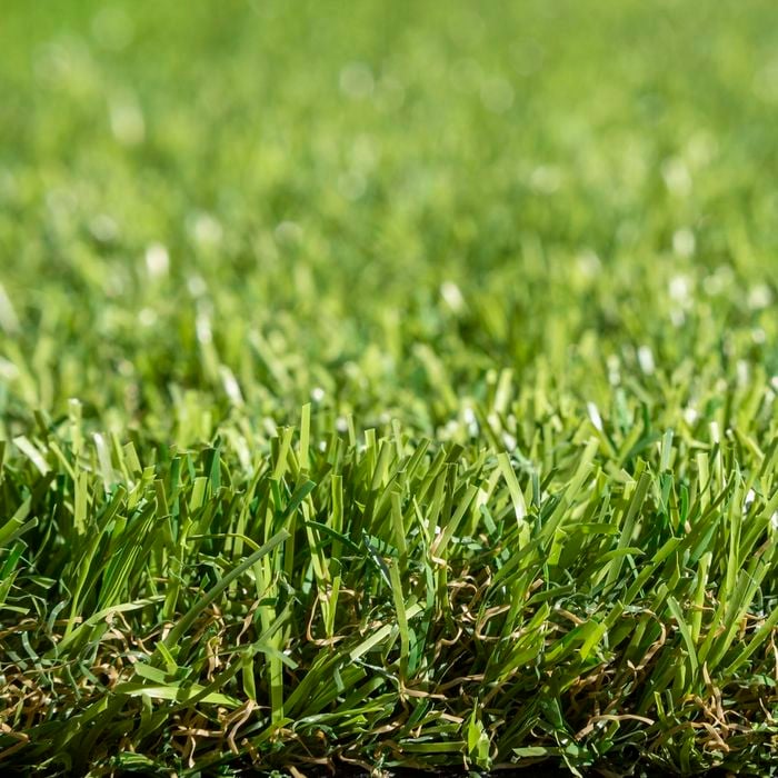 Tuff Turf 1.8 x 5m 35mm Pile Real Tuff Artificial Grass - Bunnings New ...