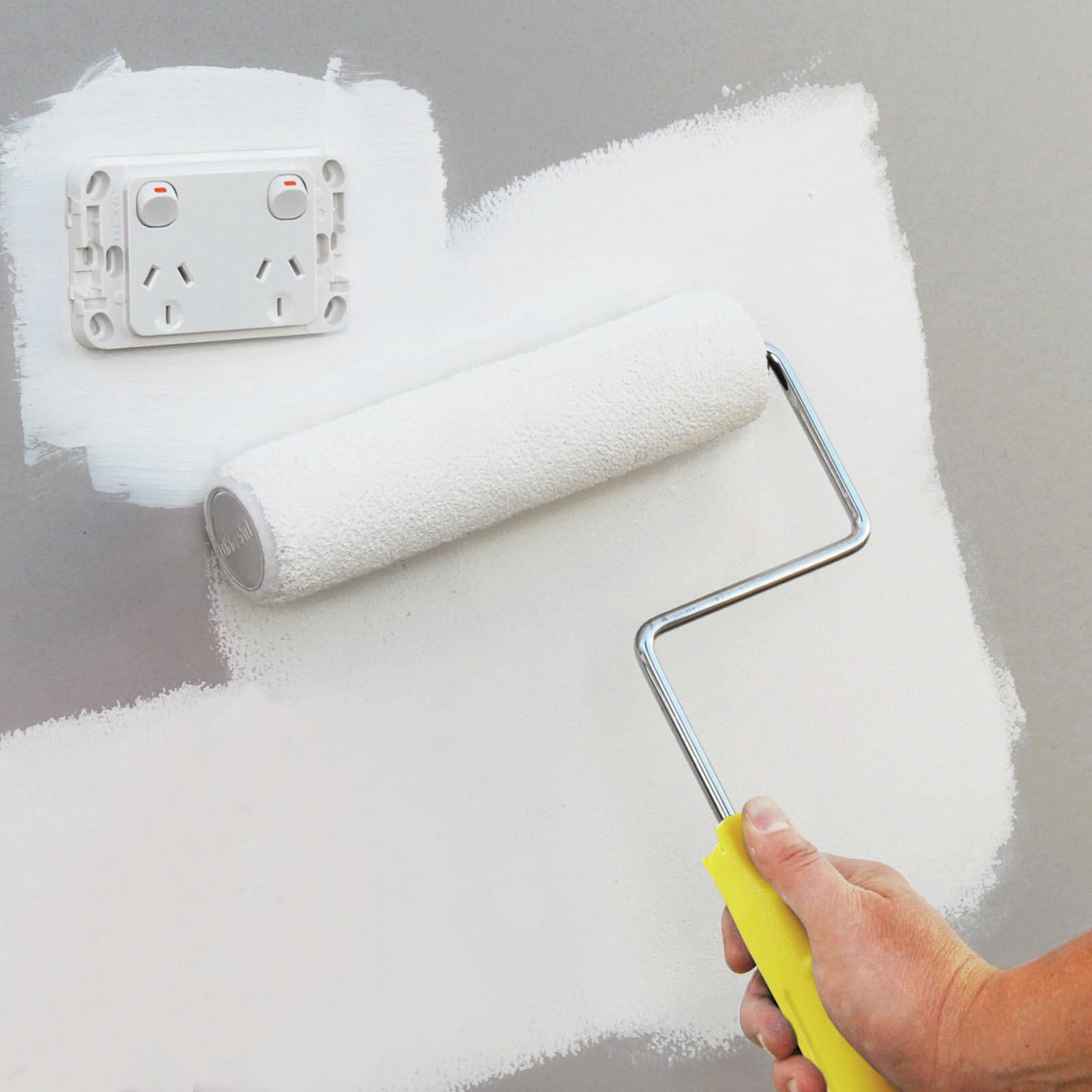 Paint roller pro bunnings store