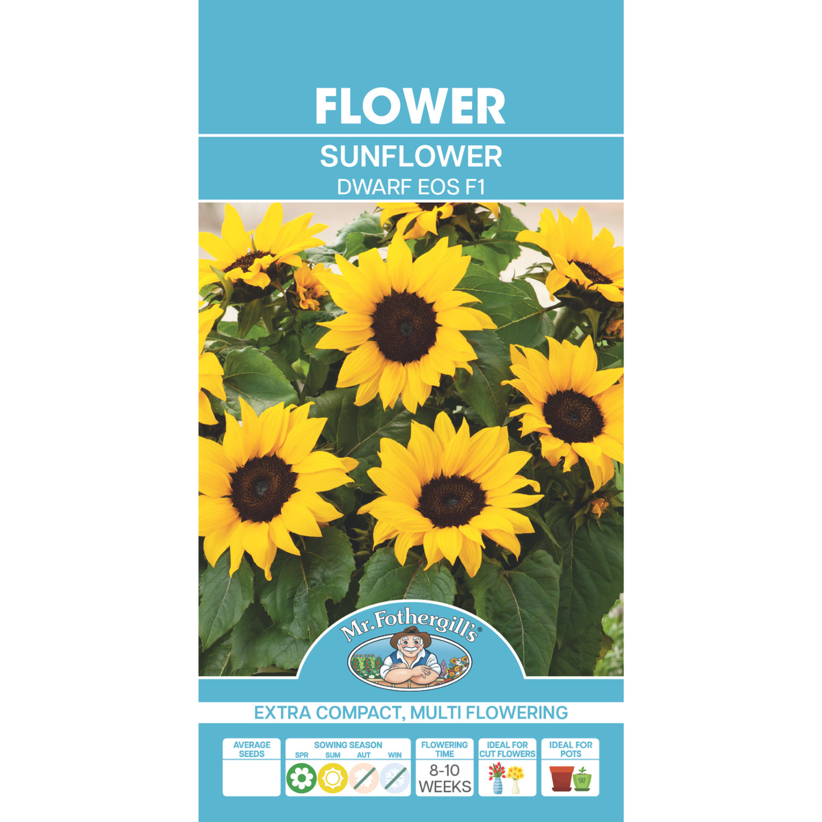 Mr Fothergill's Sunflower Dwarf EOS Seeds - Bunnings Australia