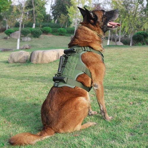 CottonMore Large Breed Dog Tactical Training Dog Harness Vest Army ...