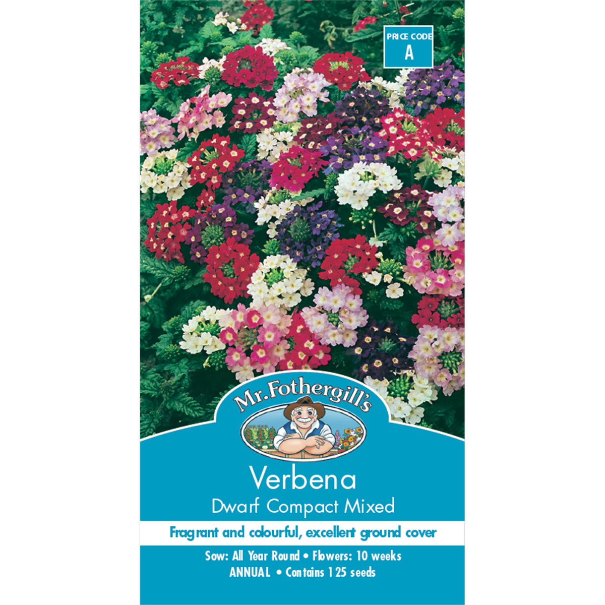Mr Fothergill's Verbena Dwarf Compact Flower Seeds - Bunnings Australia