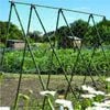 Jack Pea And Bean Frame Plant Support - Bunnings Australia