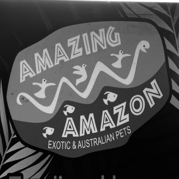 Amazing Amazon - Bunnings Australia