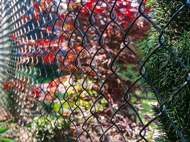 PEAK Chain Link Fencing - Bunnings Australia