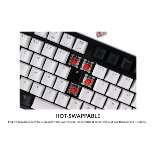 Keychron C2 USB Keyboard Hot-Swappable RGB Backlit Mechanical Keyboard ...