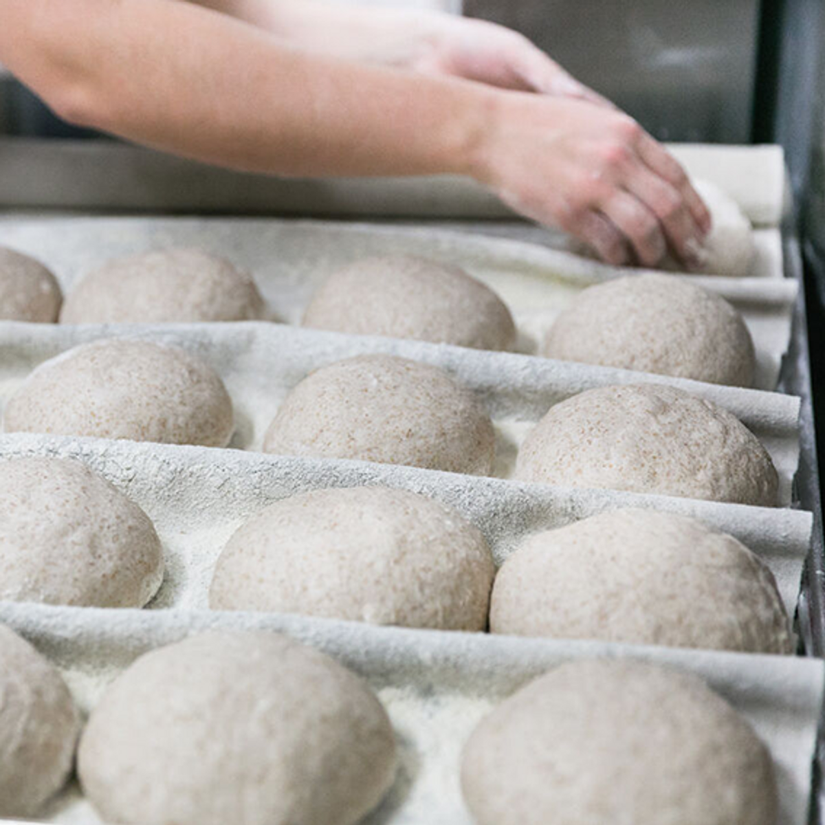 Matfer Bourgeat Couche Cloth 700mm (Roll of 20m) - Bunnings Australia