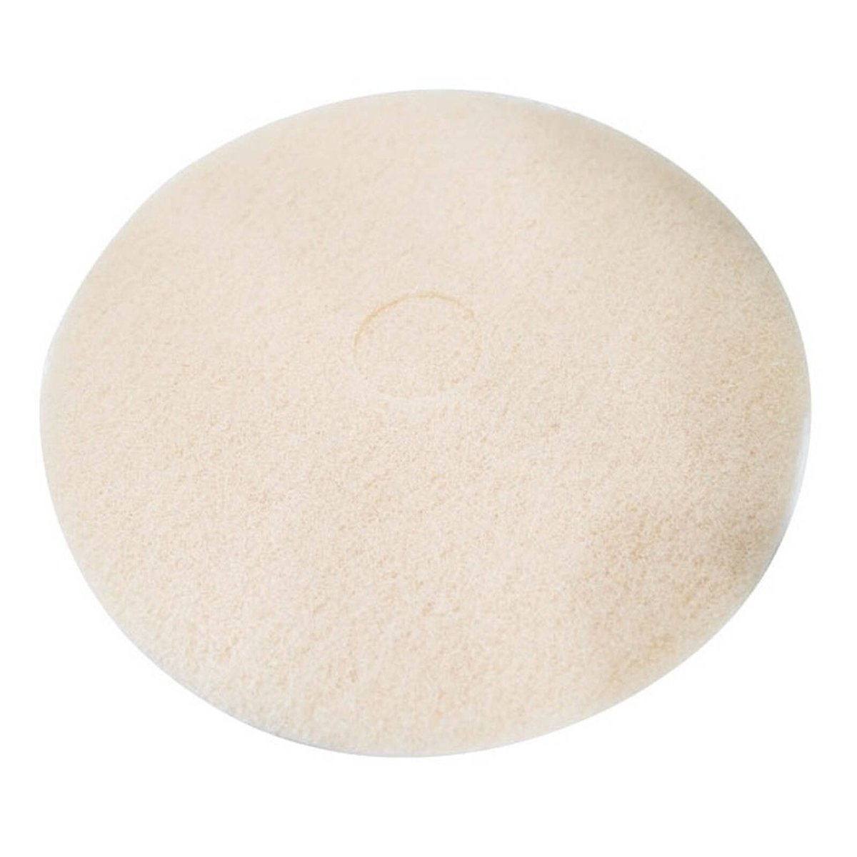 Kit Pad Agiclean Encap Scrub 19inch ORBOT (5) - Bunnings Australia