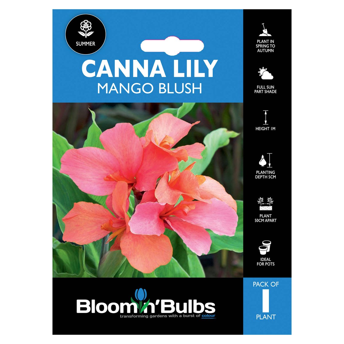 Bloomin' Bulbs Summer Blue Canna Lily Mango Blush - 1 Pack - Bunnings ...