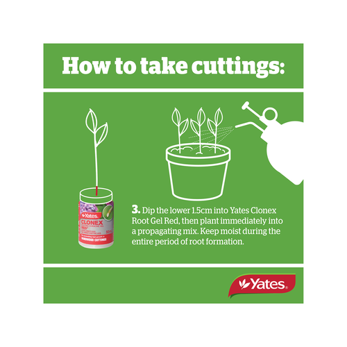 Yates 50ml Clonex Red Rooting Hormone Gel for Hardwood Cuttings ...