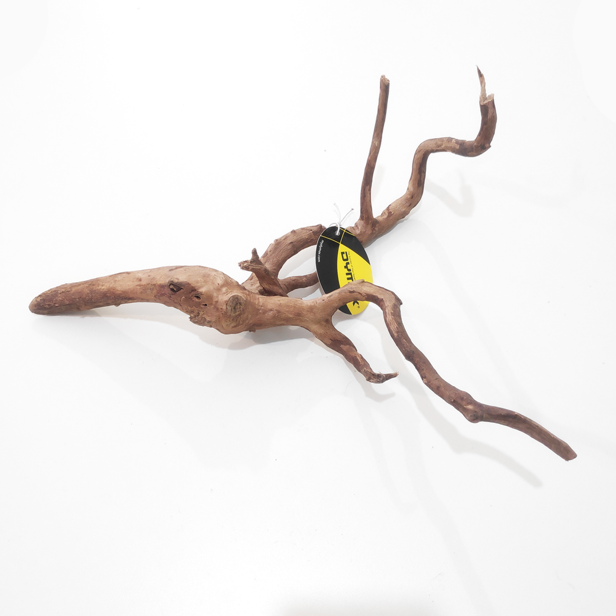 Dymax Tweety Wood - Nano (DM713) - Bunnings Australia