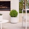 Tuscan Path 35cm White Gavin Planter - Bunnings Australia