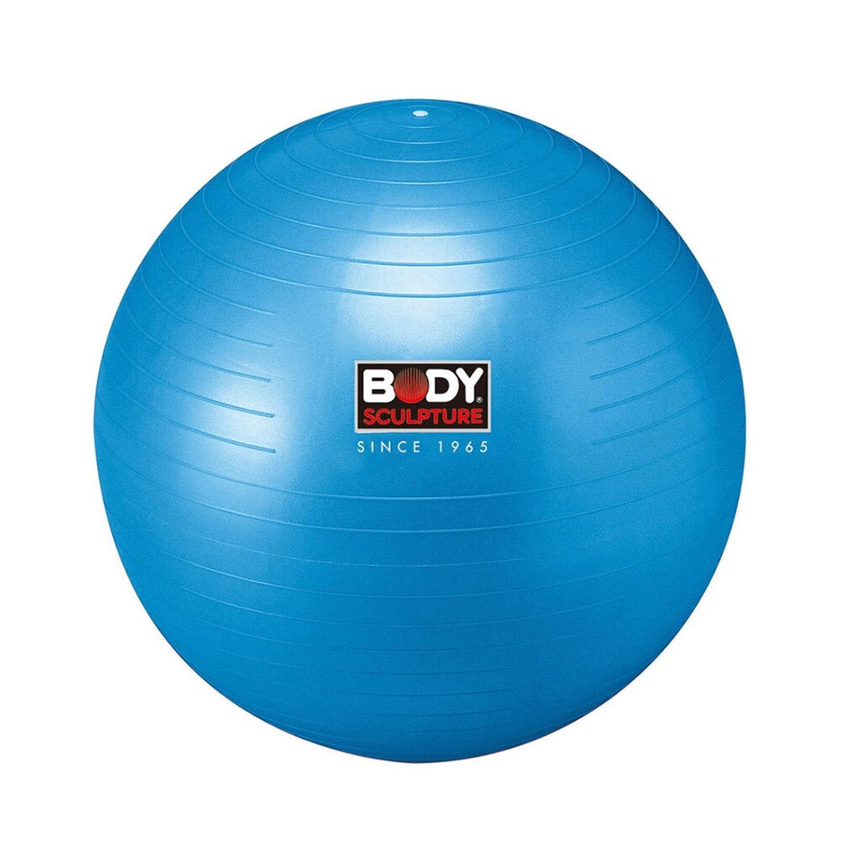 Body Sculpture 75cm Anti-Burst Gym Ball Blue w/ Pump - Bunnings Australia