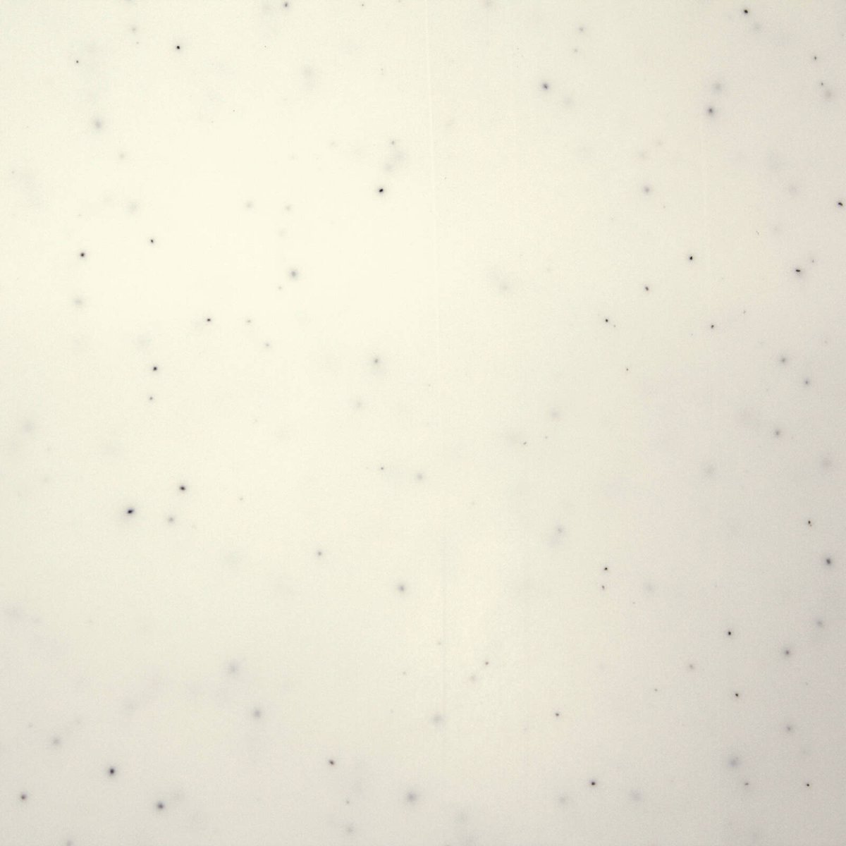 Mirostone 900mm Nordic Snow Benchtop - Bunnings New Zealand