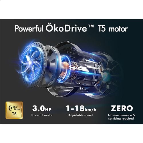 BLACK LORD BX220 Treadmill - Bunnings Australia