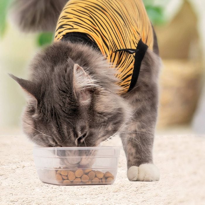 Suitical Recovery Suit® Cat - Bunnings Australia
