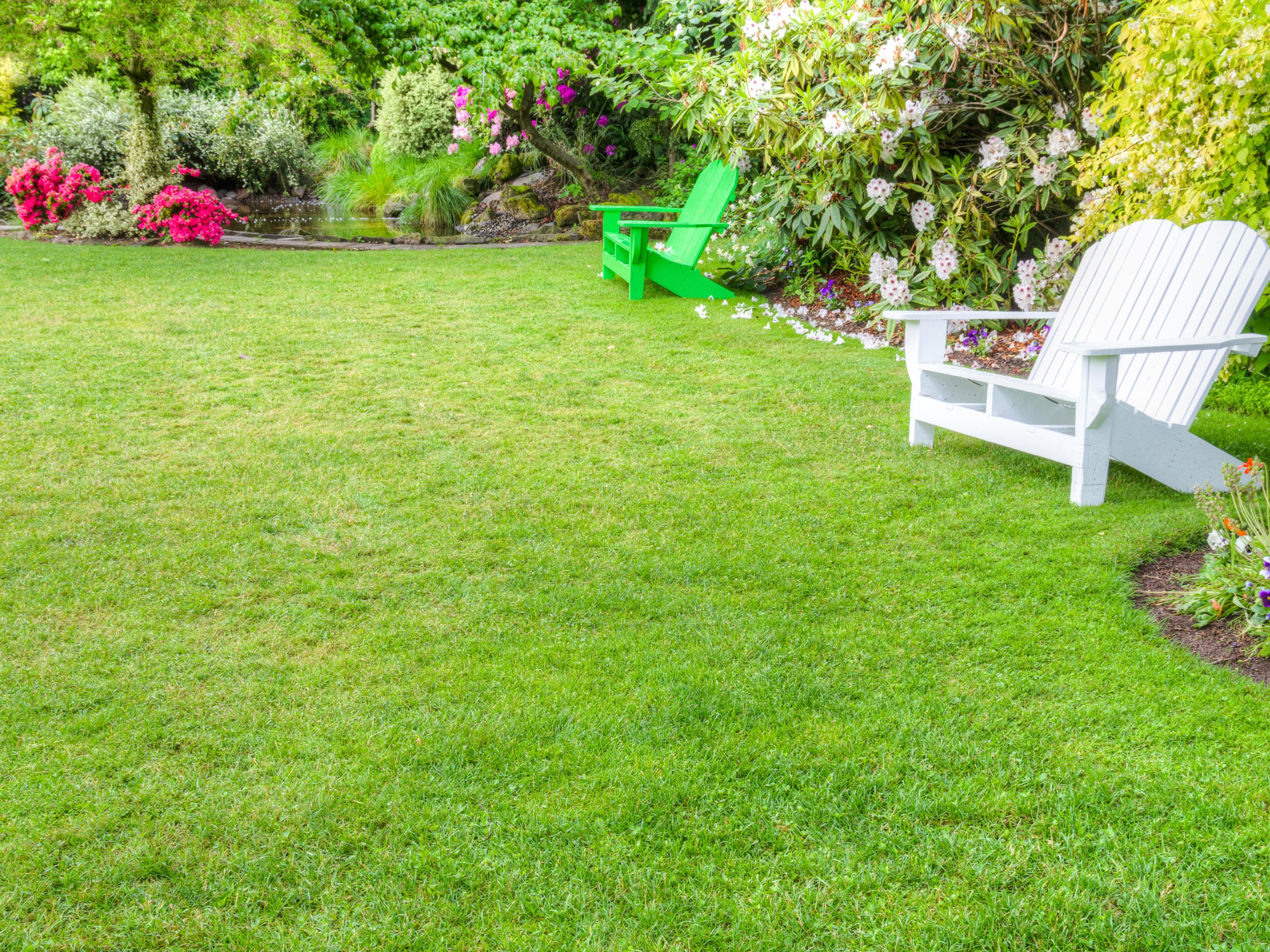 Best grass store
